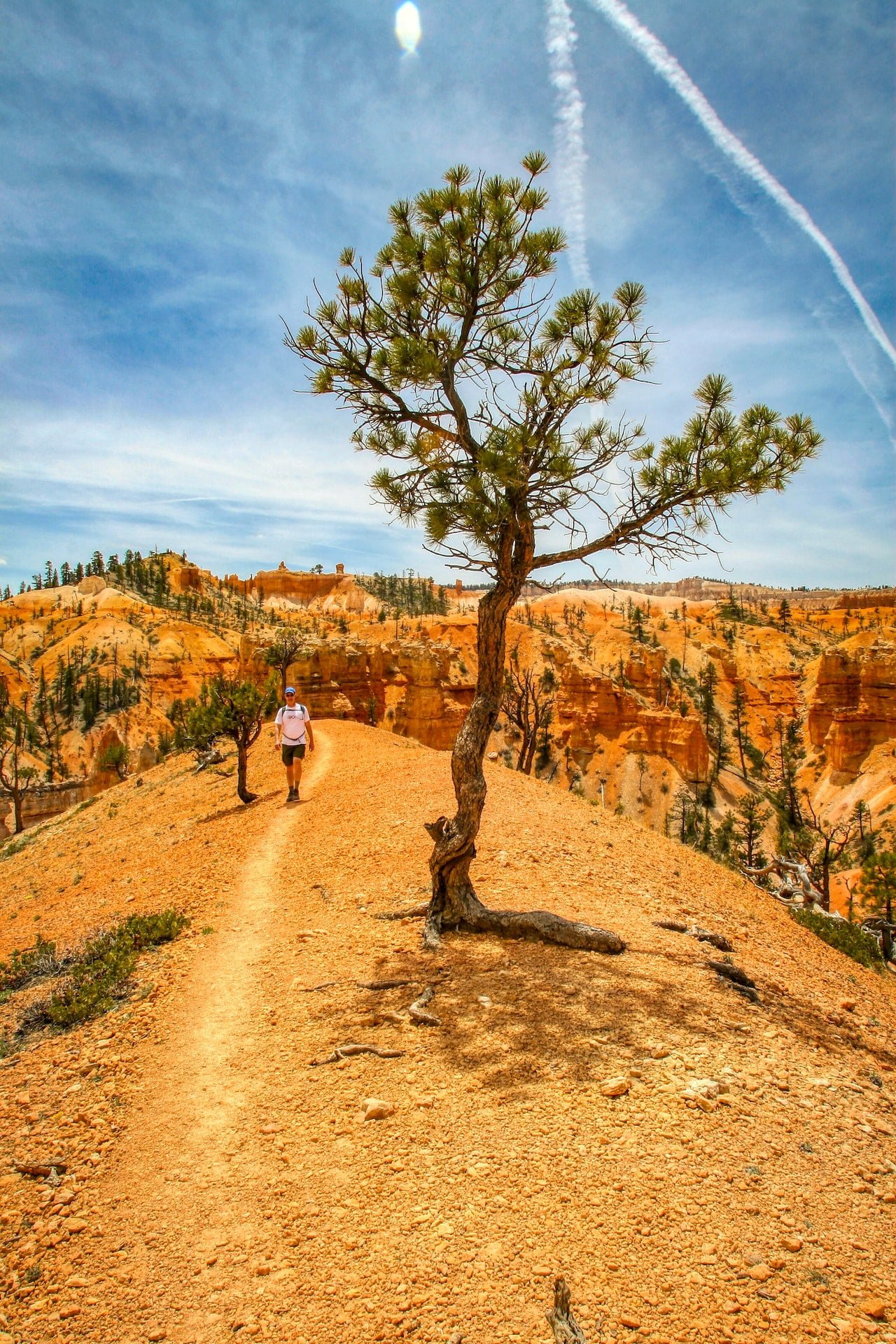 America’s Top Ten Trail System Hikes – Parablog